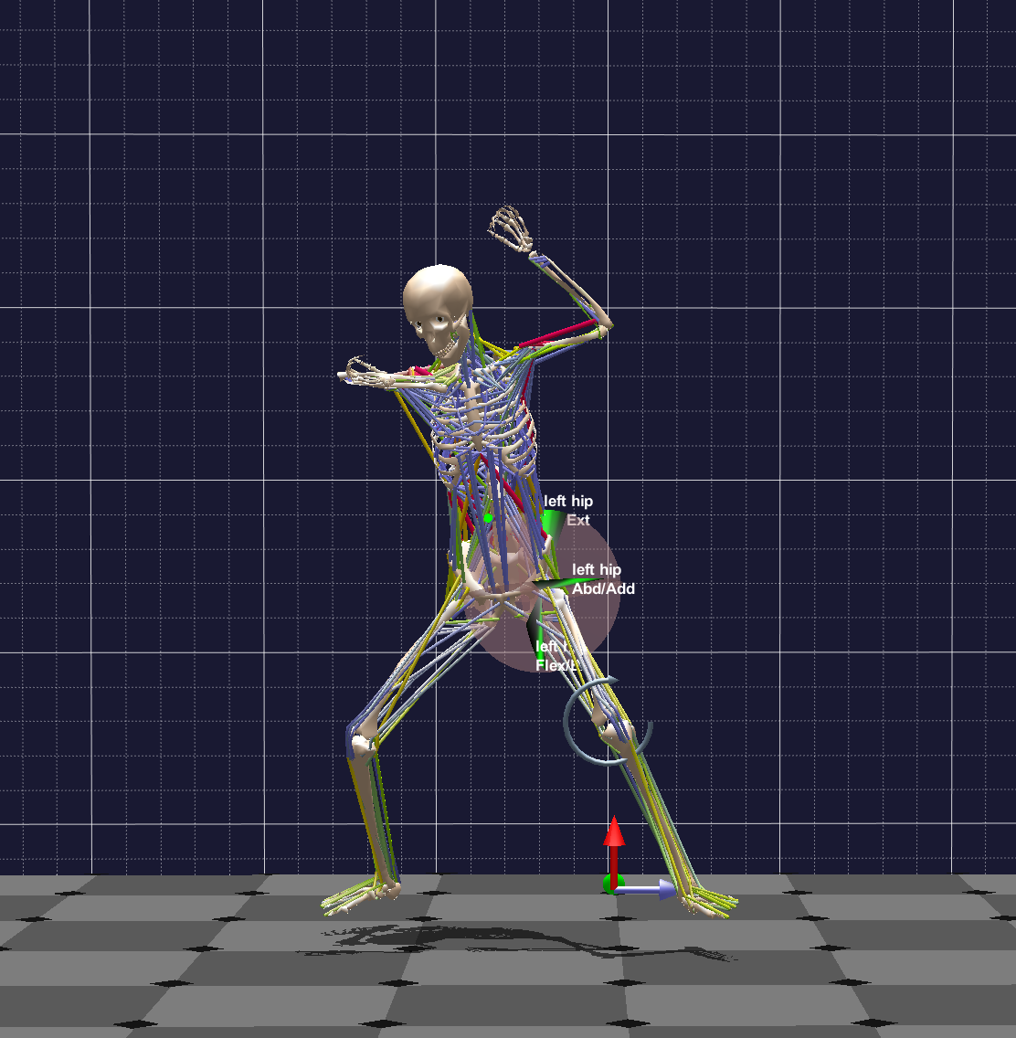 Markerless Motion Capture for Biomechanics | RADiCAL & BoB Biomechanics | RADiCAL Solutions