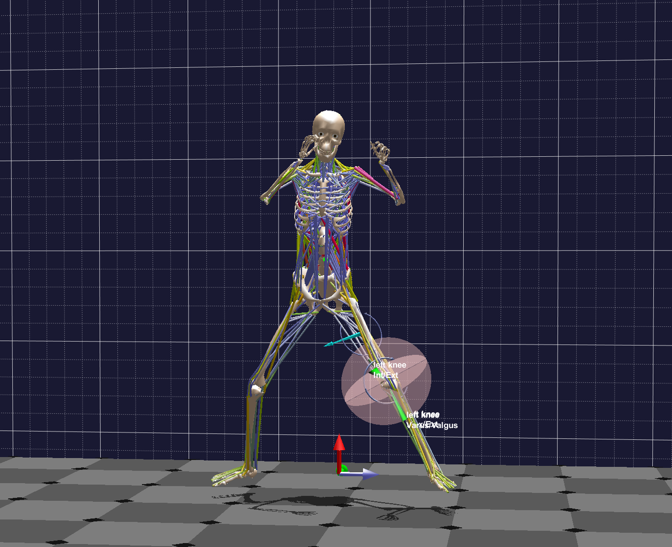 Markerless Motion Capture for Biomechanics | RADiCAL & BoB Biomechanics | RADiCAL Solutions